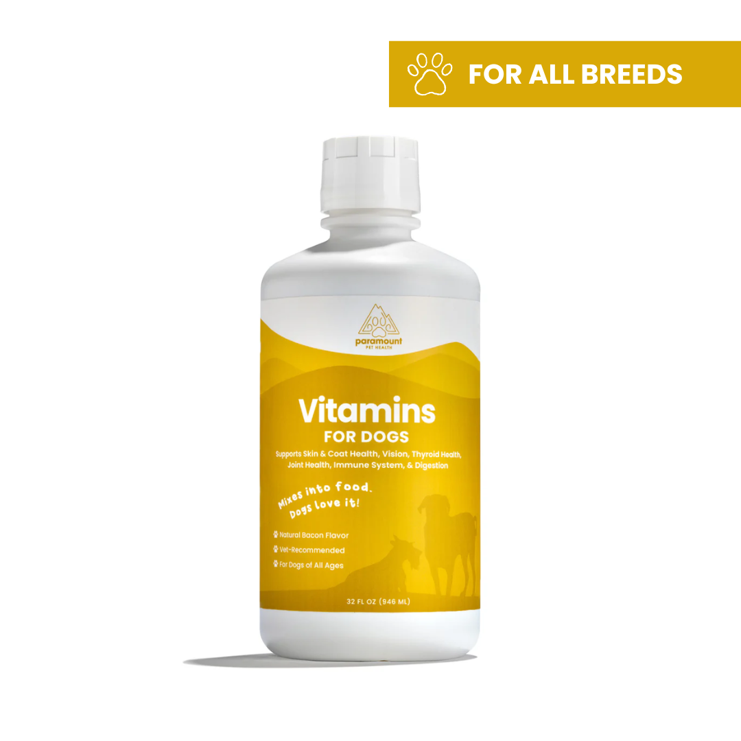 Daily Multivitamin Liquid for Dogs (All Breeds) — Paramount Pet Health