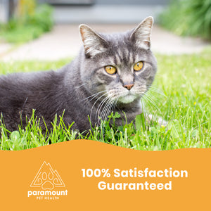 Paramount Pet Health Liquid Glucosamine For Cats